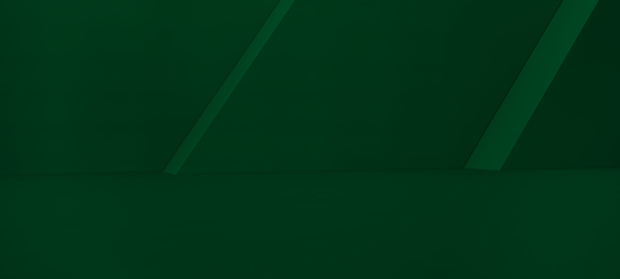 MINI Countryman | MINI Singapore